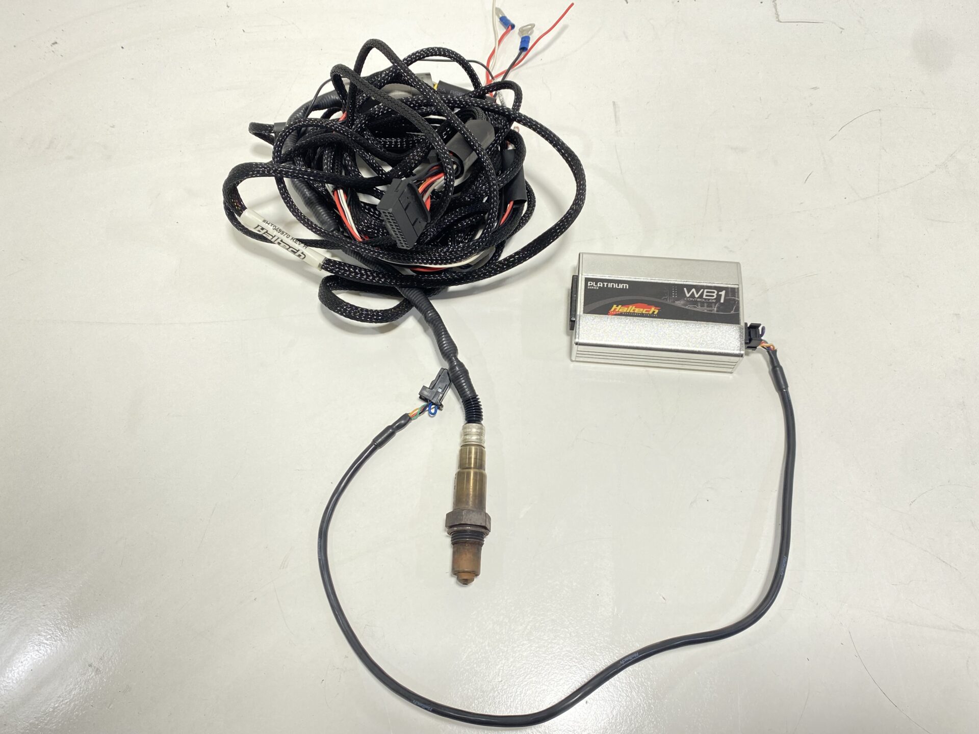 Haltech Wideband Controller WB1 - JDM Garage Australia
